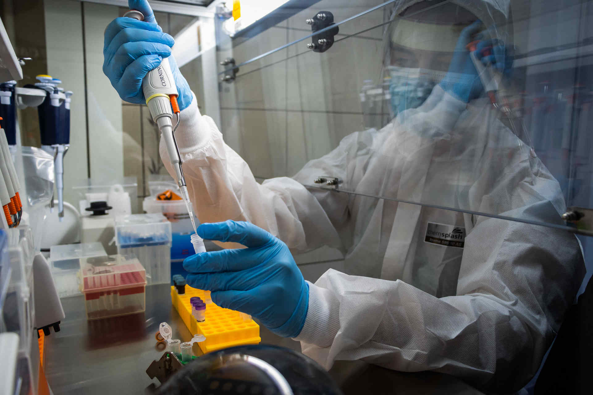 Biologie moleculară: ce este PCR şi cum ne ajută să stabilim ...